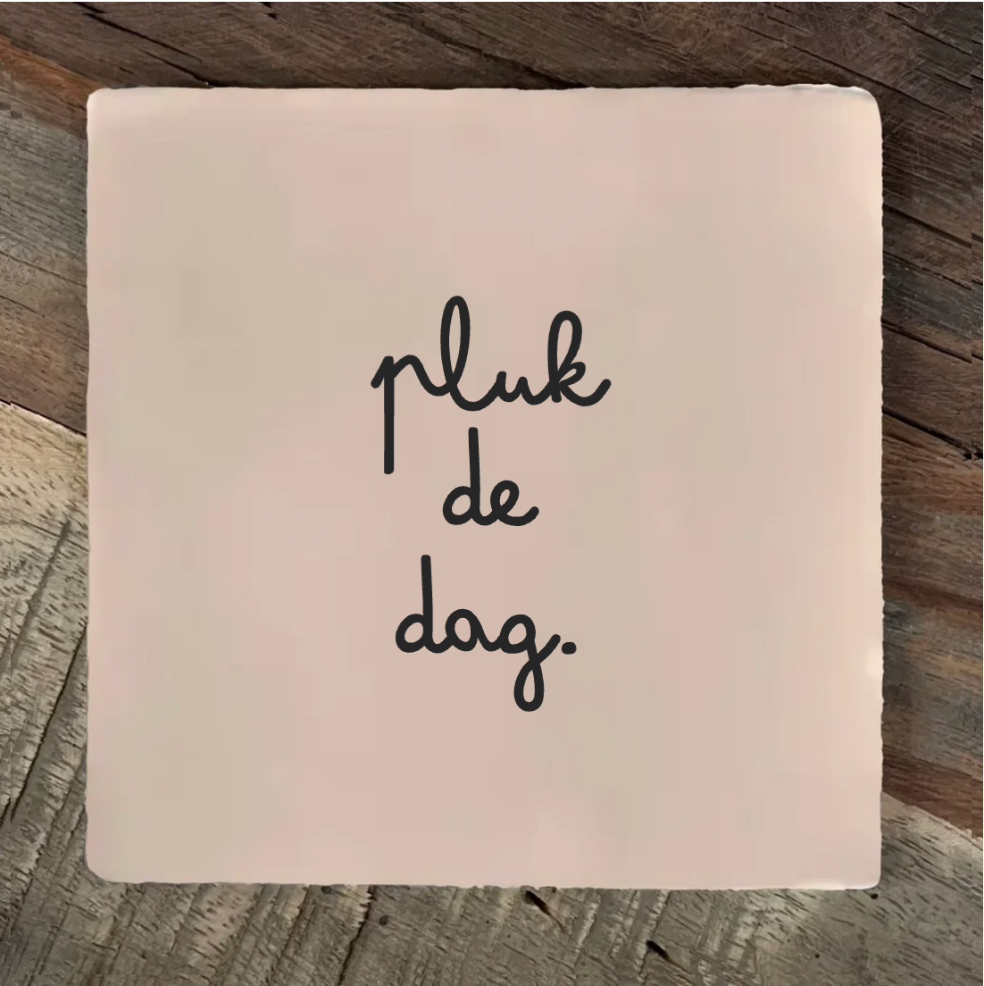 Tegeltje pluk de dag – Label2X B.V.